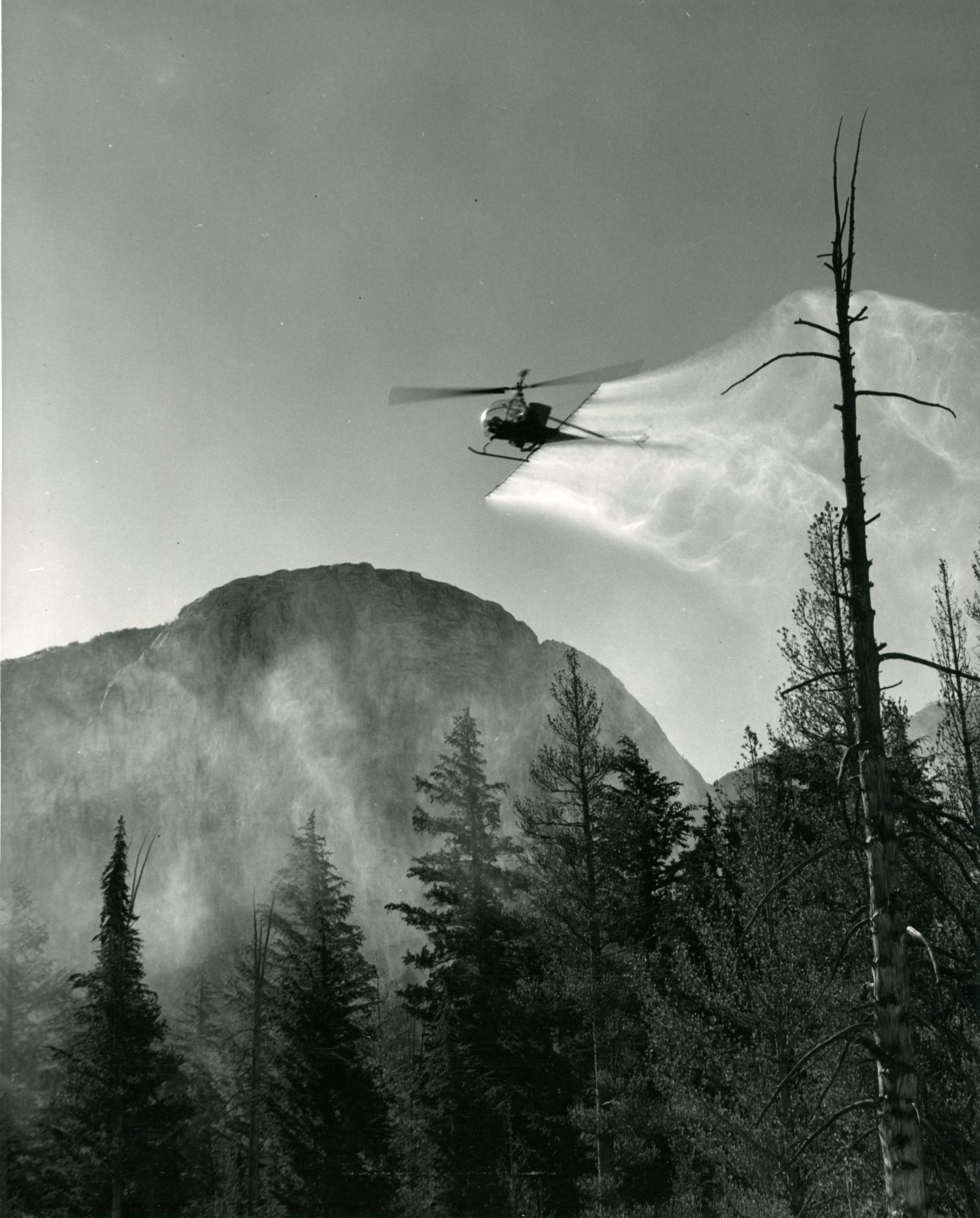 Our History - Rogers Helicopters